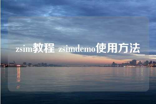 zsim教程 zsimdemo使用方法 - APP分享.COM