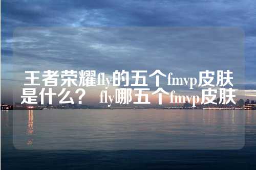 王者荣耀fly的五个fmvp皮肤是什么？ fly哪五个fmvp皮肤 - APP分享.COM